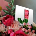 3drose, Cute Watermelon Monogram J, 6 Greeting Cards with Envelopes ...