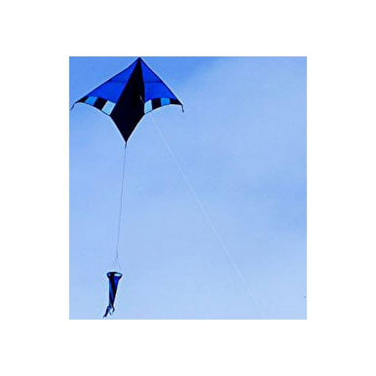 Cool Delta Kite