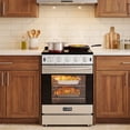 24 in. 4-Burner Electric Glass Top Slide-In Oven Range, 240V in ...