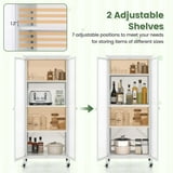 Costway Storage Cabinet with Wheels & 2 Translucent Doors Adjustable ...