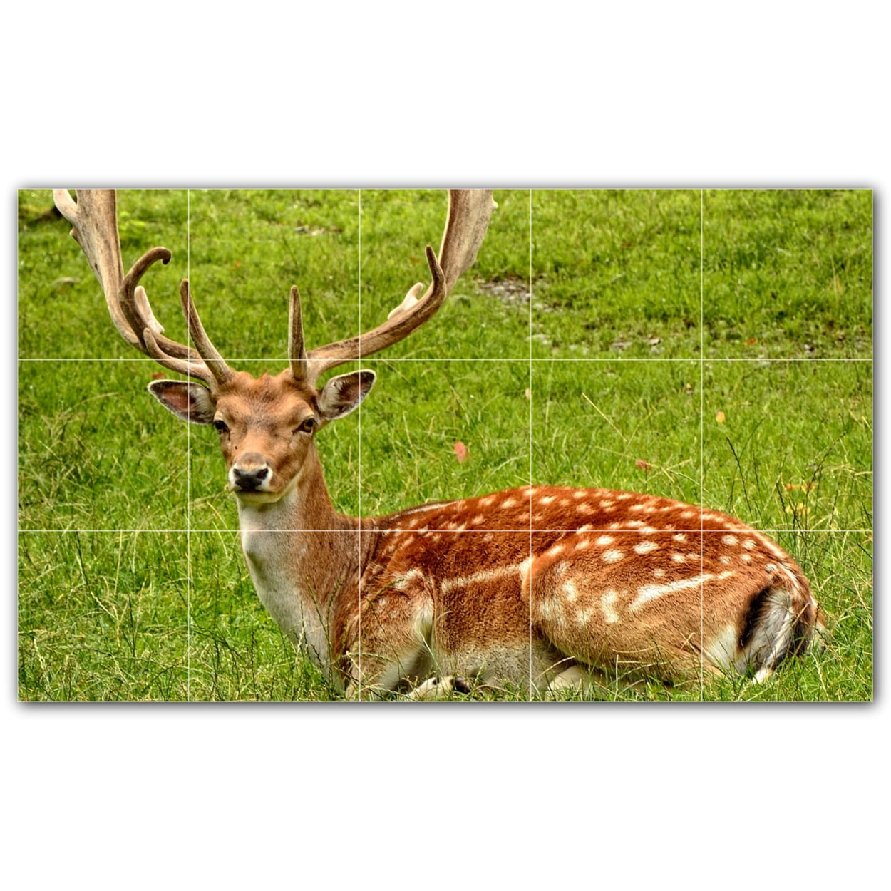 Picture-Tiles.com: Deer Ceramic Tile Wall Mural WAL500461-53XL. 60"W x ...