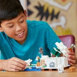 LEGO Minecraft The Polar Igloo 21142 - Walmart.com