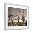 Stupell Industries Desert Sky Wilderness Gray Framed Print Under Glass ...