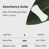 Veeda Natural Cotton Night Pads for Women - Overnight Heavy Flow ...