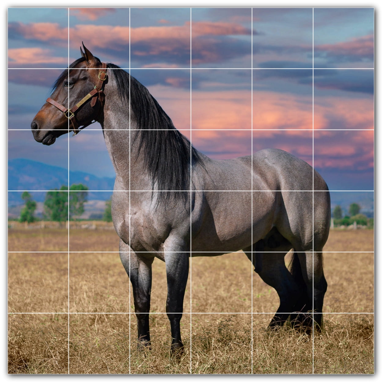 Picture-Tiles.com: Horse Ceramic Tile Wall Mural WAL500749-66XL. 72"W x ...