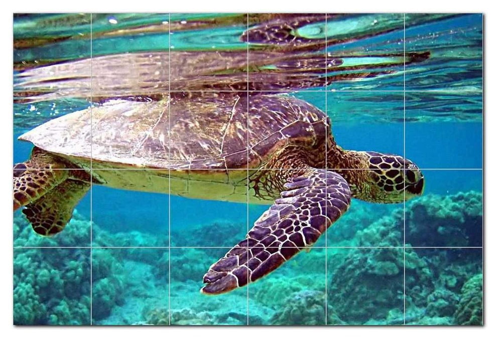 Turtle Ceramic Tile Mural Kitchen Backsplash Bathroom Shower, 402942 ...