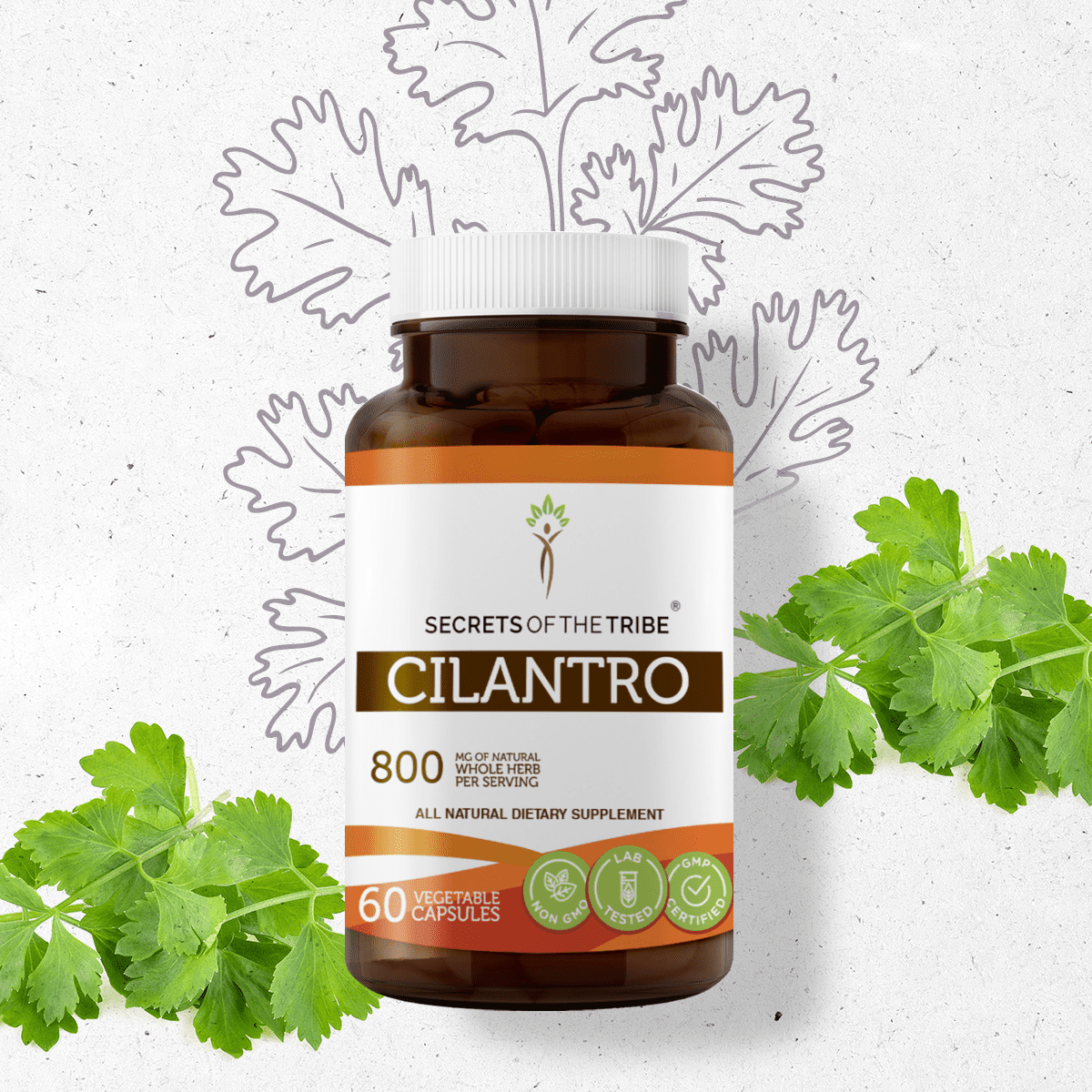 Secrets of the Tribe Cilantro 60 Capsules, 400 mg, Organic Cilantro ...