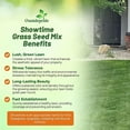 Outsidepride Showtime Lawn Grass Seed Mix - Ryegrass, Kentucky ...