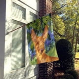 Caroline's Treasures SS8268-FLAG-PARENT Pharaoh Hound Flag, , multicolor - Walmart.com