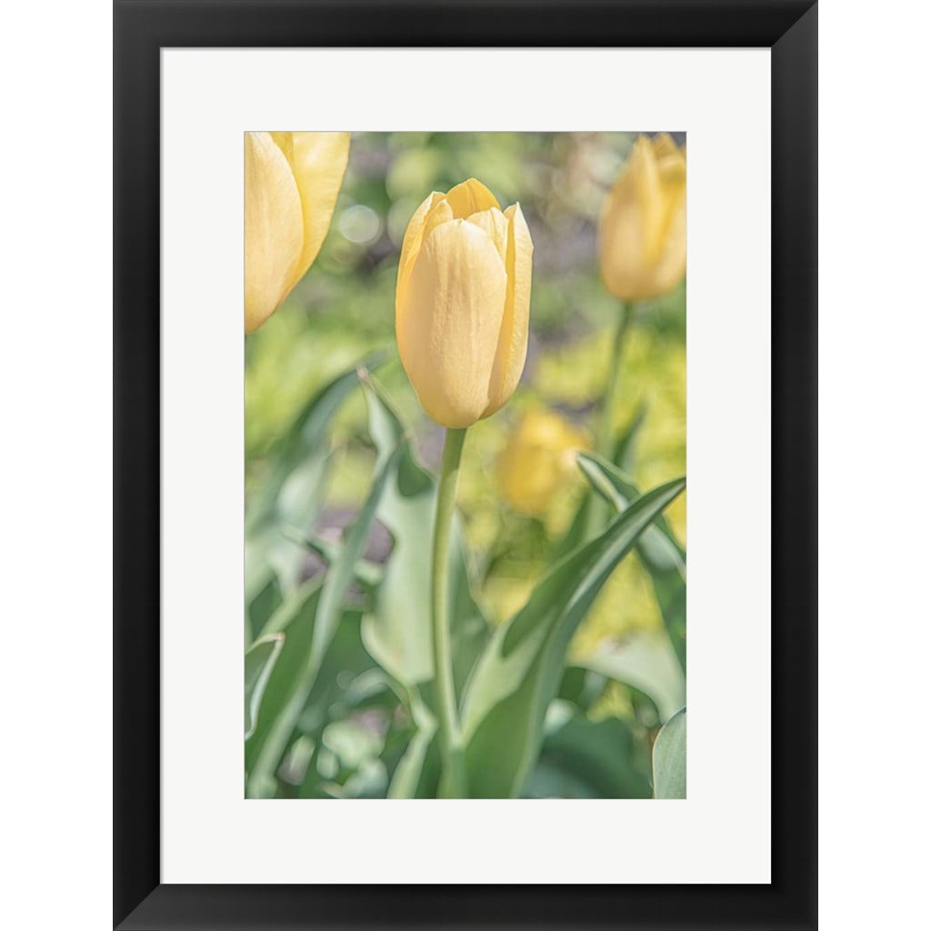 Great Art Now Obsequious Traditions by Pat DeLuca, Framed Wall Art, 18 ...