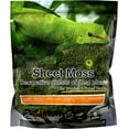 Galapagos Sheet Moss Decorative Sheet of Real Moss Substrate - Walmart.com