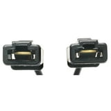 Standard Motor Products S79 Pigtail/Socket - Walmart.com