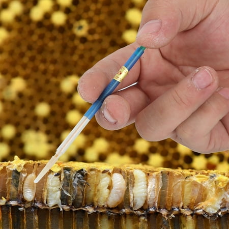 Queen Rearing Tool, Grafting Tools Spring-Loaded Plunger Bee Grafting ...