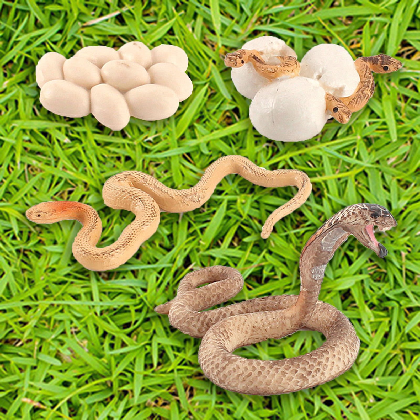 SPRING PARK Snake Toy Realistic Novelty Assorted Figurine Cobra Toy ...