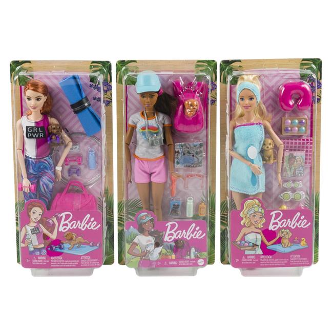 DDI 2364289 Barbie Doll & Pet Playsets with 3 Styles - Case of 6 ...