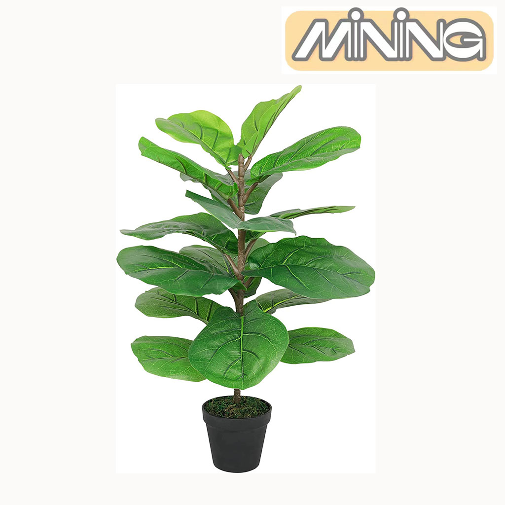 Artificial Fiddle Leaf Fig Tree with Dry Moss, Fade Resistant, Faux ...