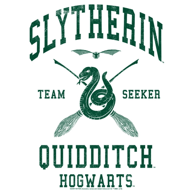Quidditch Logo