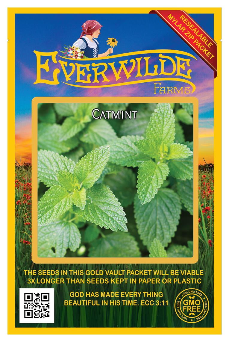 Everwilde Farms - 2000 Catmint Herb Seeds - Gold Vault Jumbo Bulk Seed ...