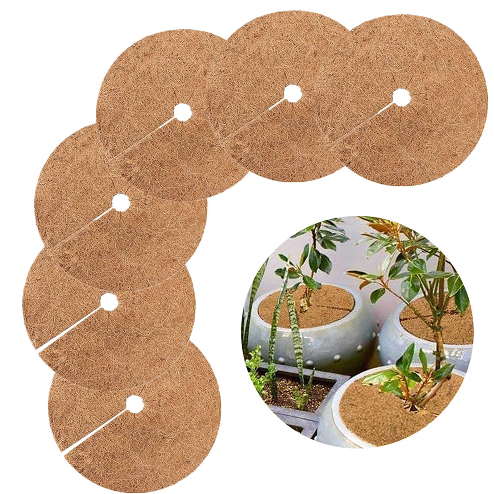 Visland 6PCS Coco Coir Mulch Ring Tree Protector Mat- Natural Coconut ...