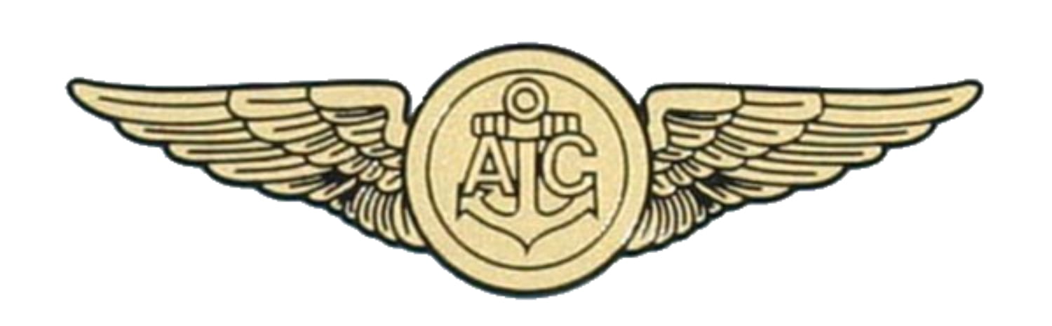 Navy Aircrew 3" Wings Decal - Veteran Owned Business - Walmart.com