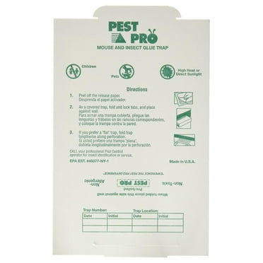Bayer Delta Dust Insecticide, Waterproof, Odorless, Residual Control ...