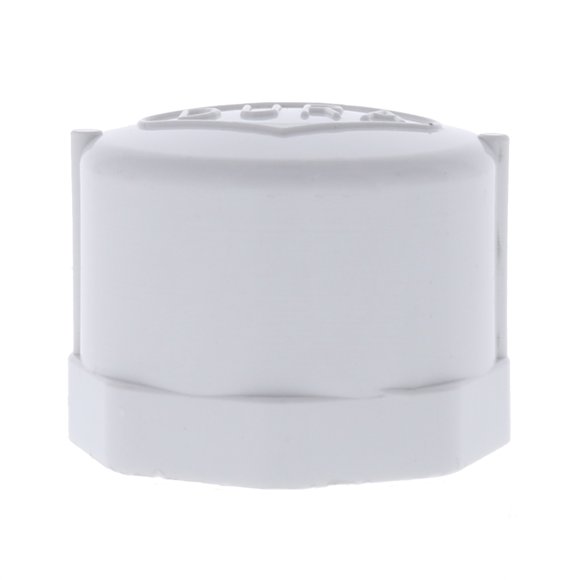 1 Inch Pvc Cap