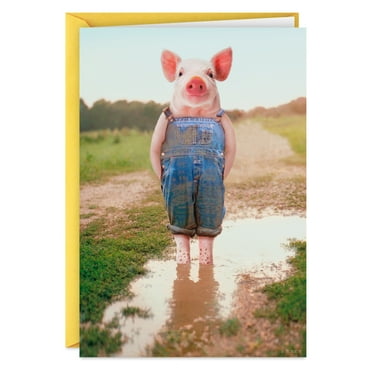 Hallmark Shoebox Maxine Funny Birthday Card (You're Not Getting Old ...