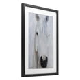 Stupell Industries Pure White Horse Portrait Black Framed Print Under ...