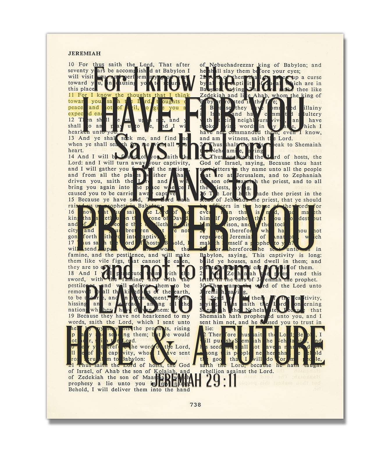 Jeremiah 29 11 For I Know The Plans I Have For You Vintage Bible