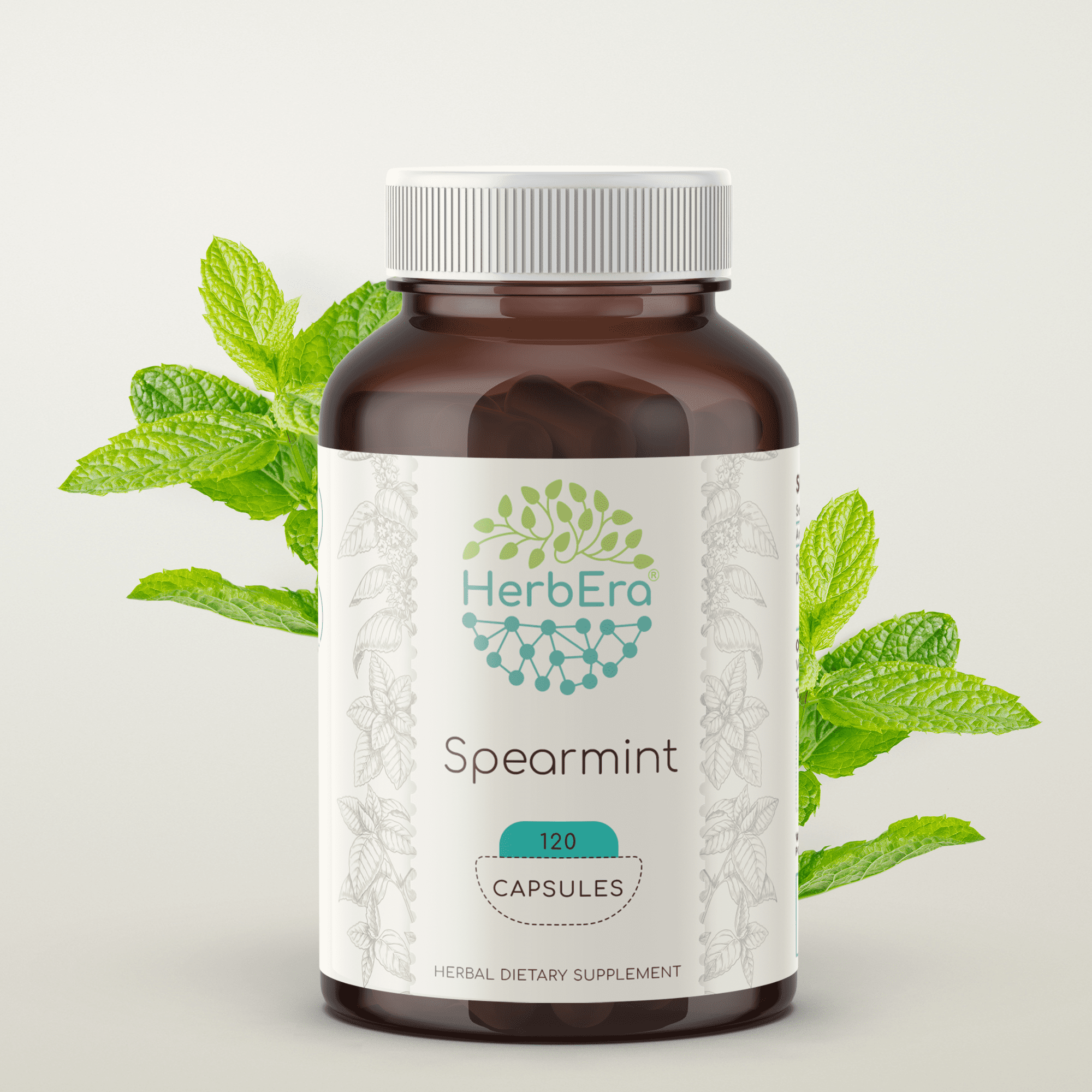 Spearmint 120 Capsules, 500 mg, Organic Spearmint (Mentha spicata ...