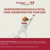 Tri-Heart Plus Chewable Tablets for Dogs, up to 25 lbs, (Blue Box ...