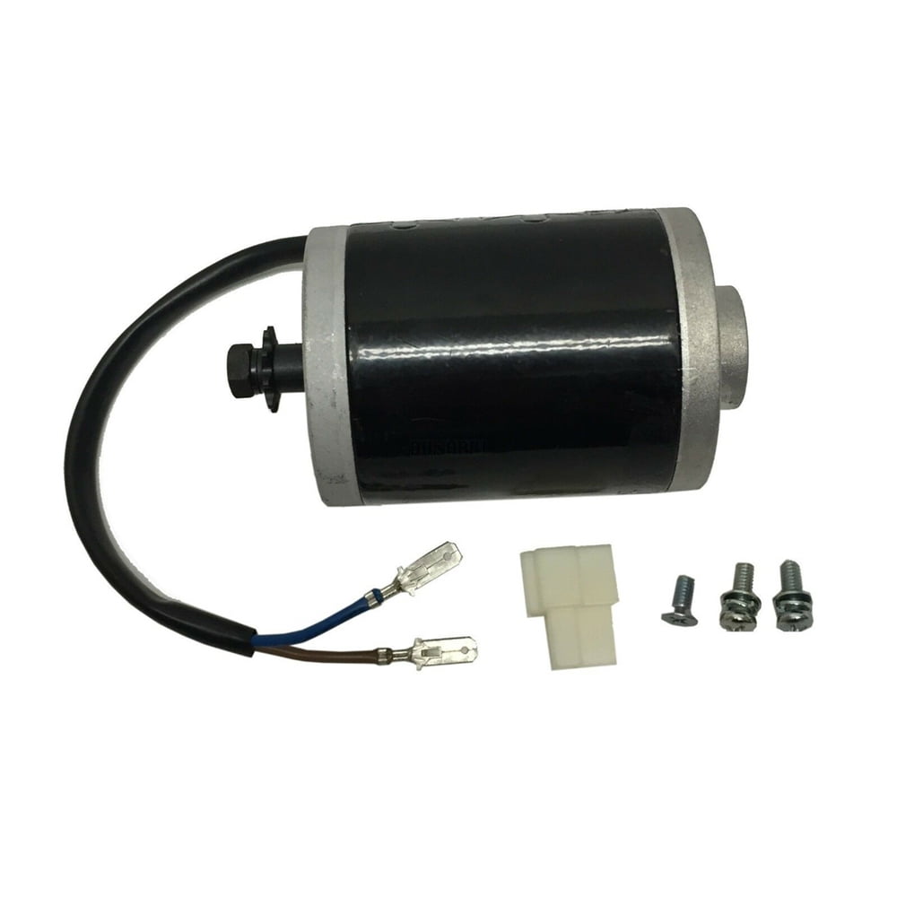 Razor W13111401030 E90 Scooter Motor with Screws 100W V1+ - Walmart.com