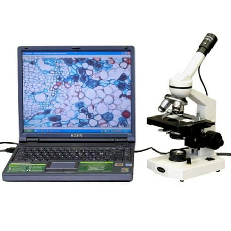 AmScope M600C-E1 Digital Compound Monocular Microscope, WF10x and WF25x ...