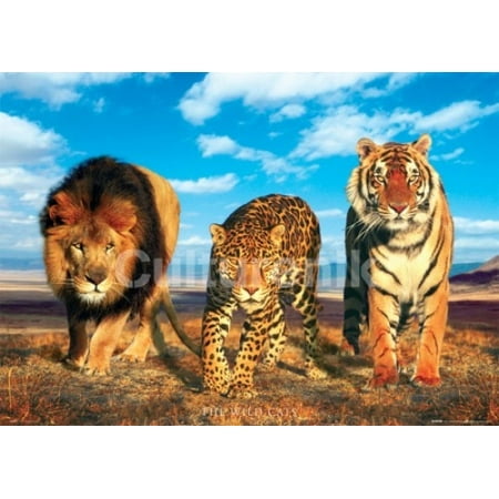 Wild Cats Laminated Poster (36 X 24) | Walmart Canada