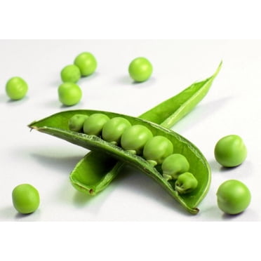 Colossal Sweet Bell Pepper - 10 Seeds - Huge Fruits - Walmart.com