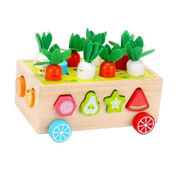 Shape Sorter Toys Learning Educational Toys Matching Sorting Game for ...