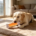 Dog Chew Toy, TPR and Wood Powder Teeth Cleaning Bone for Small to ...