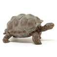 Schleich - 14824 | Wild Life: Giant Tortoise - Walmart.com