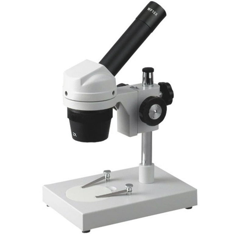 Dissecting Microscopes Images