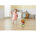 VTech Follow Me Franklin Chase-Me Toy, Encourages Crawling for Infants ...