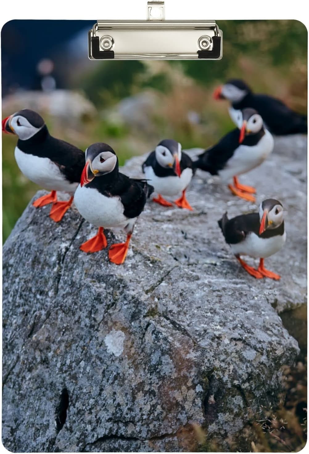 FMSHPON Puffin Friends Clipboard Hardboard Wood Nursing Clip Board and ...