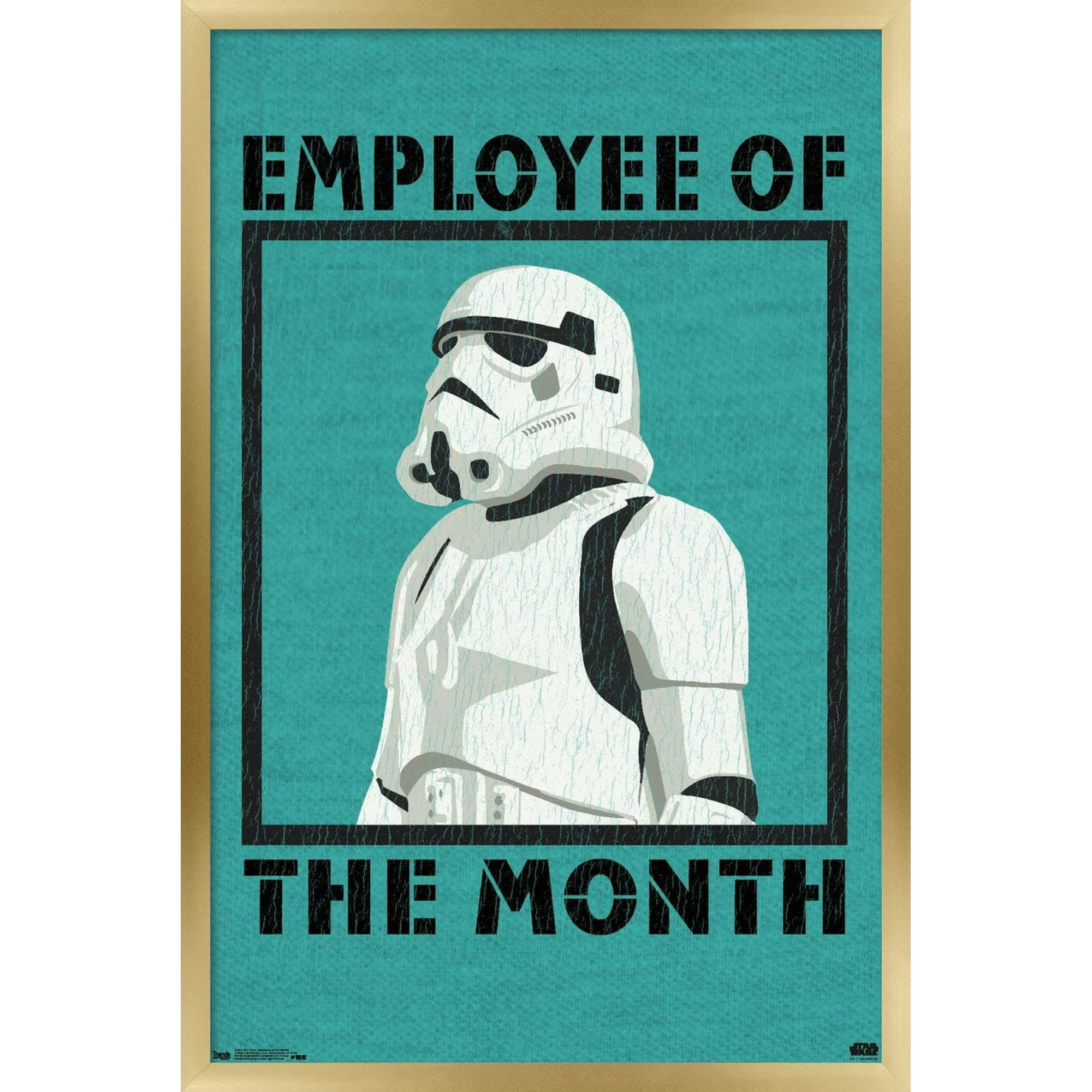 Click here for Trends International Star Wars: Saga - Employee Of... prices