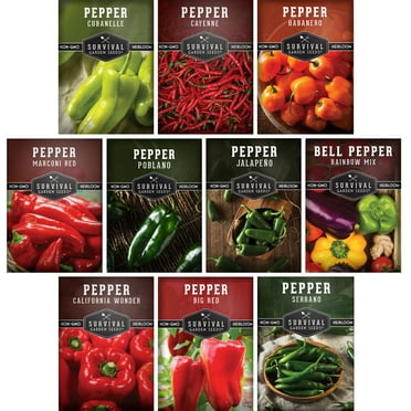 Survival Garden Seed Kit | 12 Different Vegetable Seed Packets ...