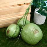 Tineasur Coconut Bunch Green Plastic 1 Bunch Tropical Theme Photography ...