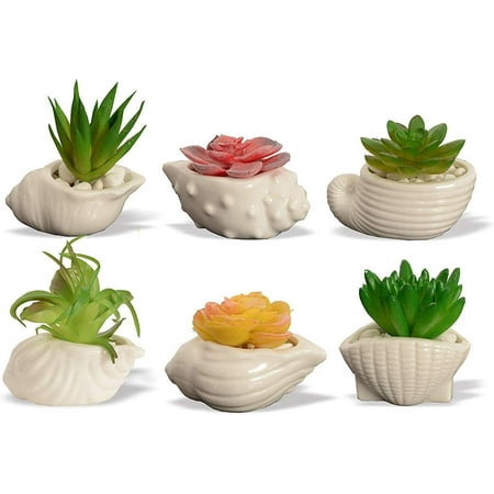 Ceramic Flower Pots Creative Conch Shell Design Micro Landscape ...