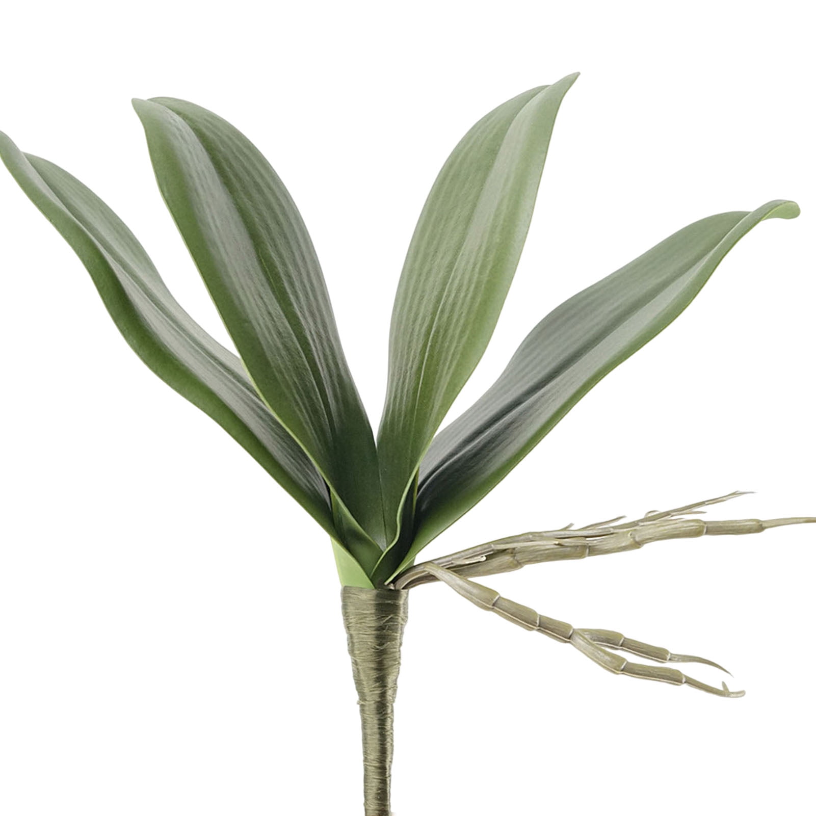 DISHAN Simulation Leaves Non-Wilting Fake Phalaenopsis Orchid Leaves ...