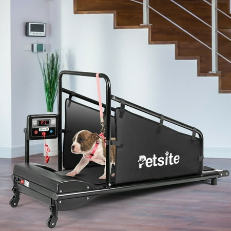 Petsite Pet Treadmill Indoor Exercise For Dogs Pet Exercise Equipment w ...