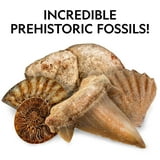National Geographic Kids Science Kit - Ultimate Rock, Mineral, and ...
