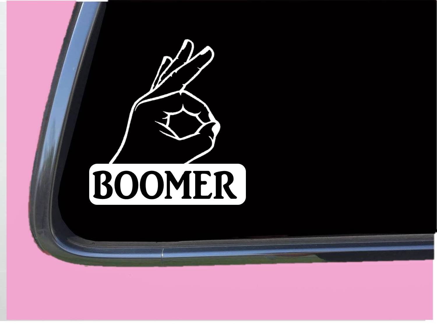 OK Boomer decal sticker TP 1185 vinyl 6" Gen z meme baby - ok boomer ...