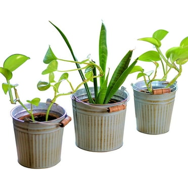 Galvanized Flower Caddy - Walmart.com